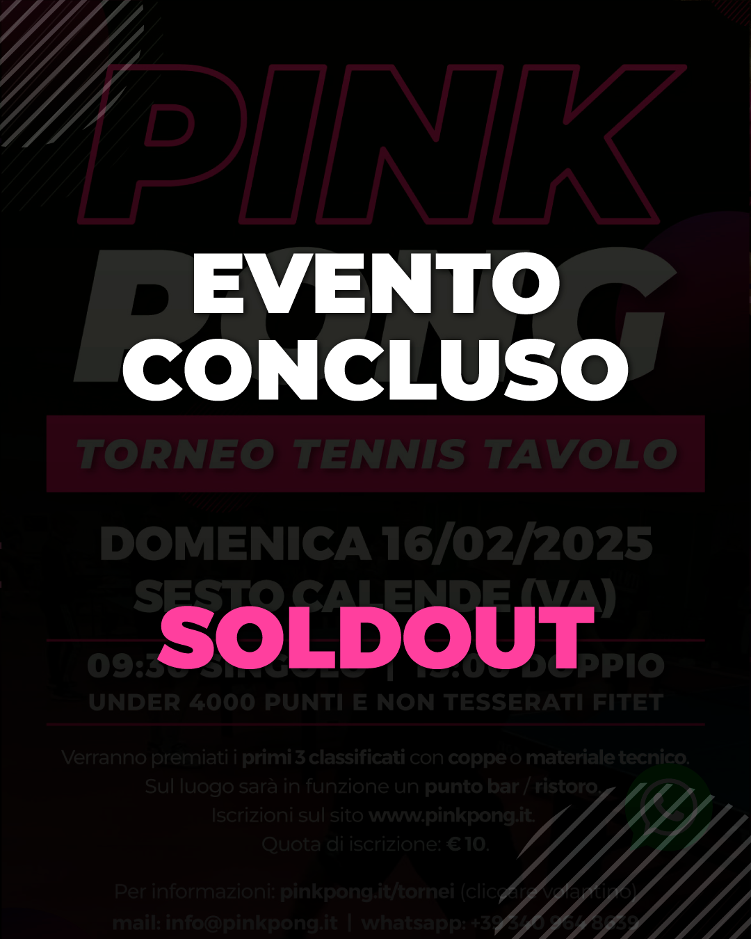 Sesto Calende 16/02/2025 – Pink Pong